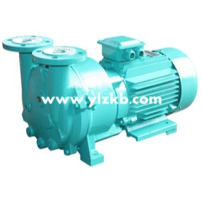 2BV Series Liquid Ring Vacuum Pumps | One-click to Connect with Plastics and Rubber Products
