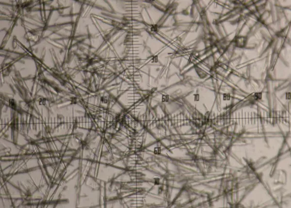 wollastonite structure