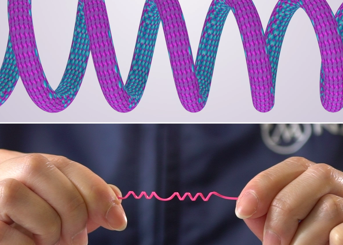 Elastic Copolymer Filament With Controllable Shape Memory Effect One
