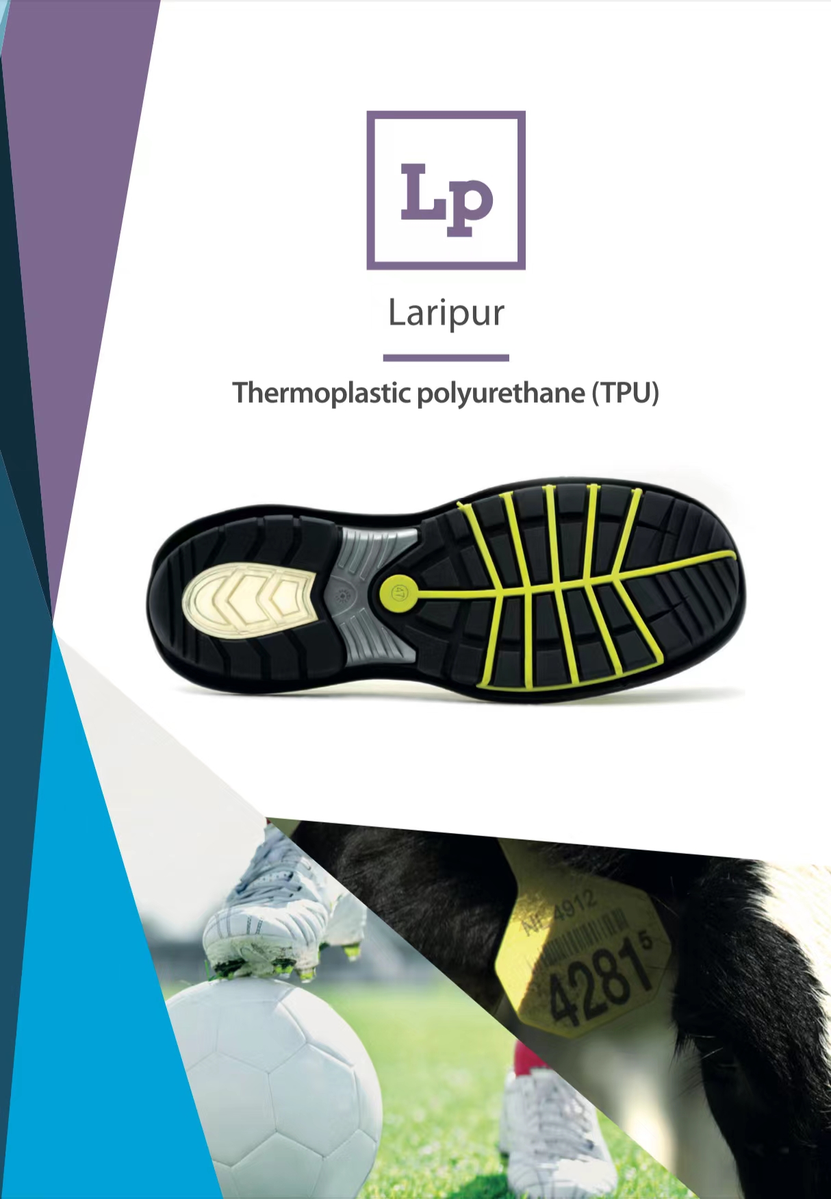 TPU | Plastics and Rubber Product