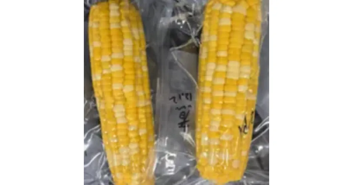 High barrier MDOPE | Plastics and Rubber Product