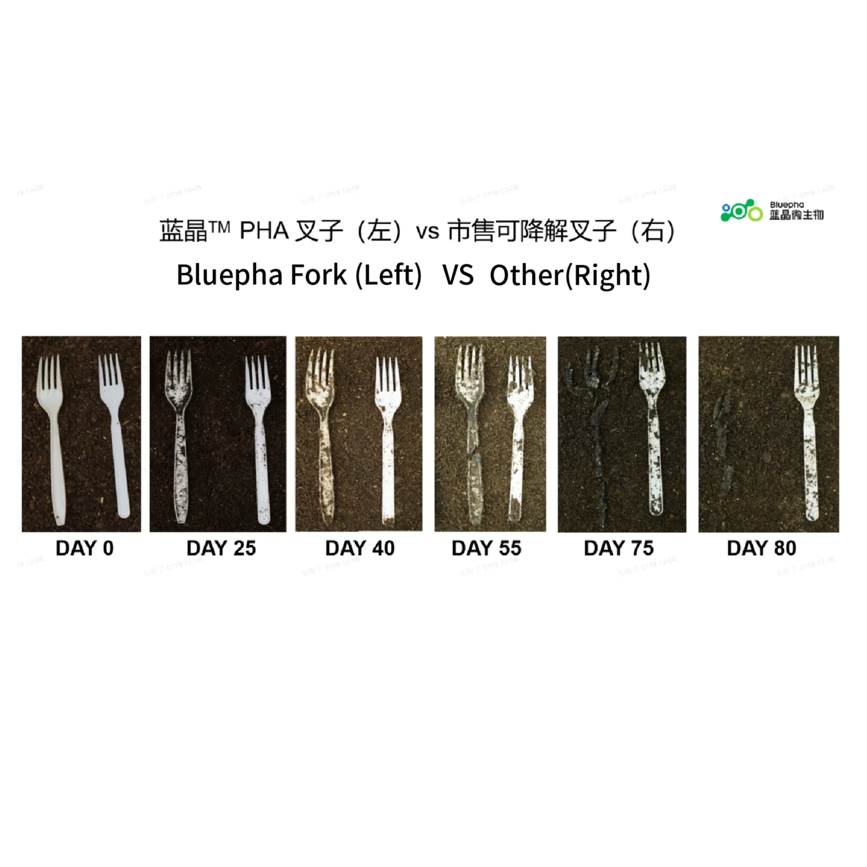 Compostable forks degrade plastic forks tenedored disposable forks ...