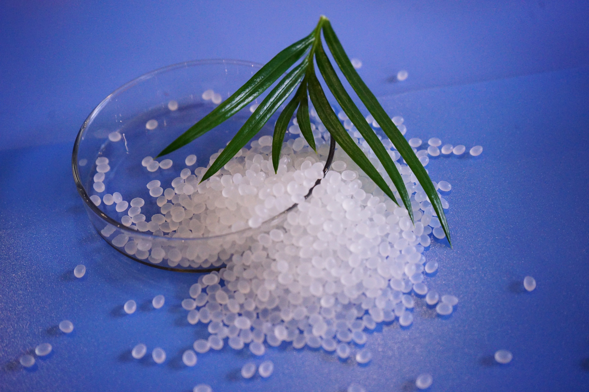 Low odor maleic anhydride grafted polypropylene | One-click to Connect ...